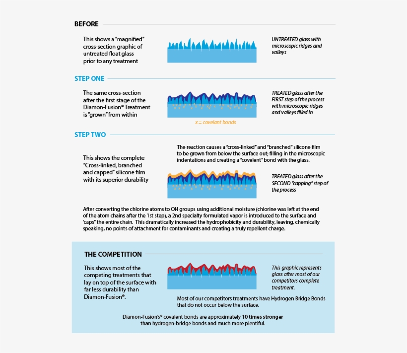 Splendor Dfi Flyer - Portable Network Graphics - 532x631 PNG Download ...