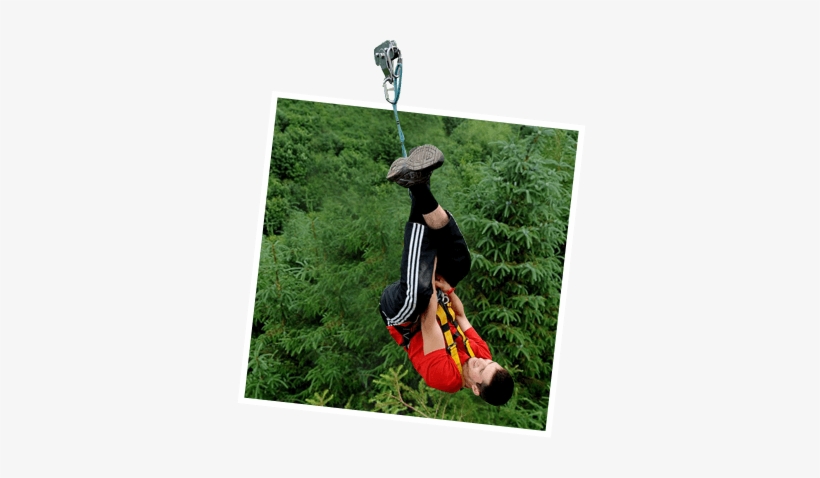 Zipline - Zipline International - 353x398 PNG Download - PNGkit