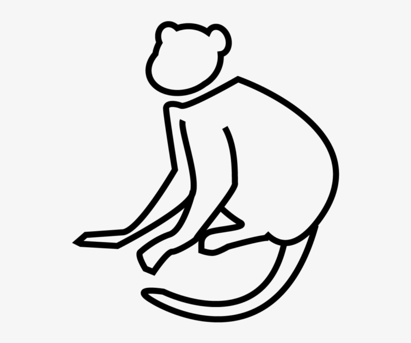 Monkey - Line Art - 1024x1024 PNG Download - PNGkit