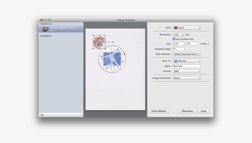 Selecting Areas To Scan - Image Scanner - 640x397 PNG Download - PNGkit