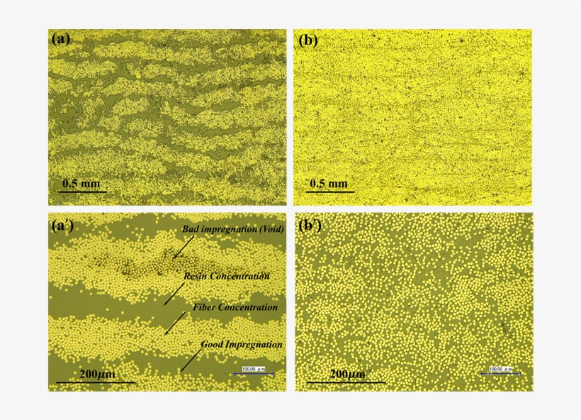 Cross Section Of Cf/nylon 6 Laminates (a') And Cf/epoxy - 903x511 PNG ...