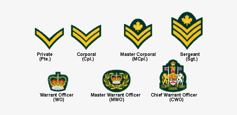 Armycadetranks - Army Cadet Ranks Canada - 582x319 PNG Download - PNGkit