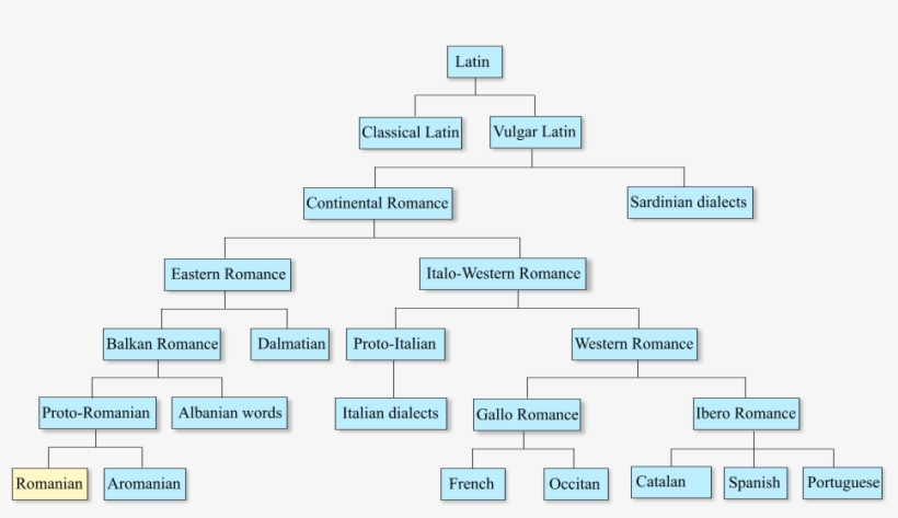 Romance Languages And Romanian - Romanian Language Family Tree - 951x504 PNG Download - PNGkit