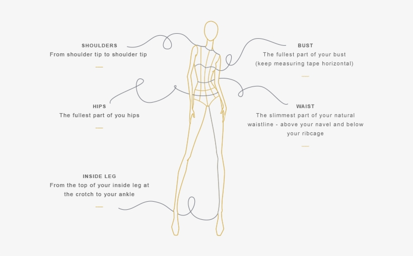 Size Guide Measurement Terms - Diagram - 641x428 PNG Download - PNGkit