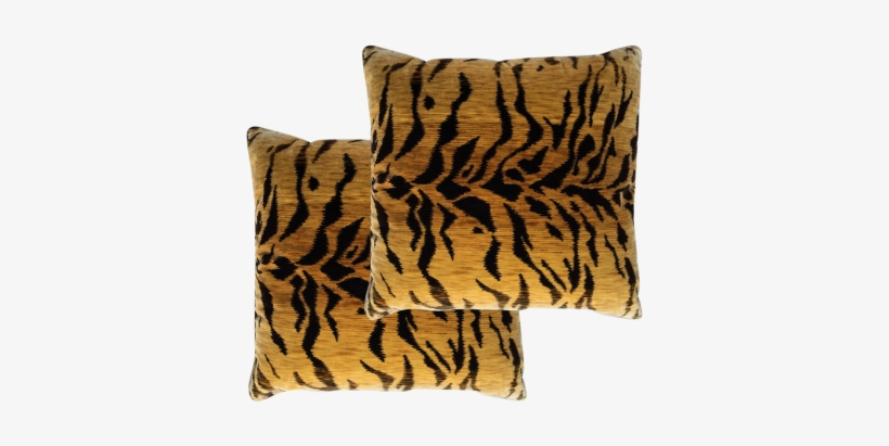 Scalamandre - Tiger - 736x460 PNG Download - PNGkit