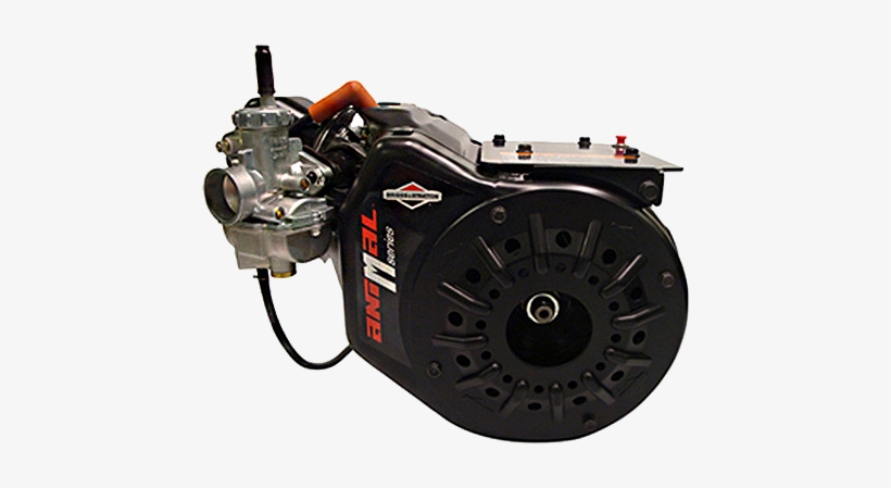 Briggs Racing M-series Engine - Briggs & Stratton Animal - 600x370 PNG ...