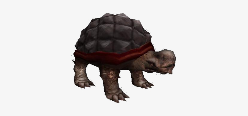 Giant Tortoise - Metin2 Stone Png - 454x341 PNG Download - PNGkit