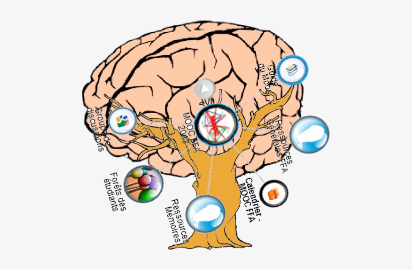 Brain Clipart Png Download - Cafepress Abby Normal Sticker Rectangle ...