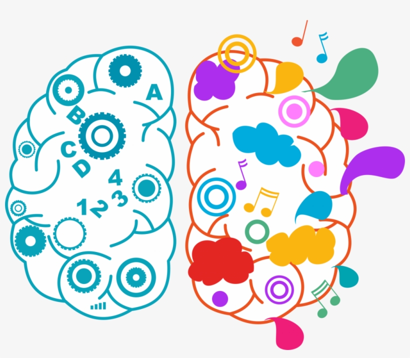 Brains Clipart Reading - Right Brain Left Brain Png - 1024x845 PNG ...