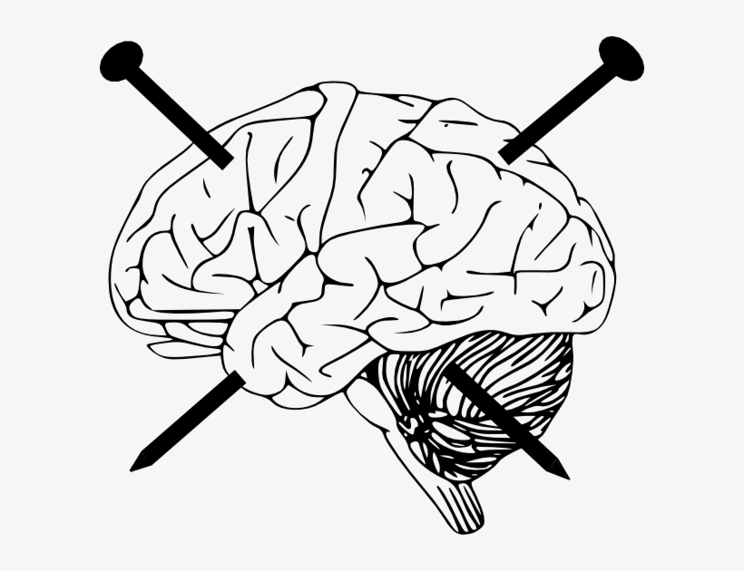 Knit For Brains Clip Art The Cliparts - Brain Outline Png - 600x550 PNG ...