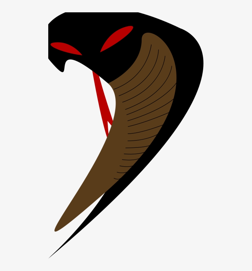 Snakes - 505x800 PNG Download - PNGkit