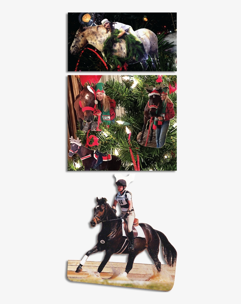 Stallion - 400x956 PNG Download - PNGkit