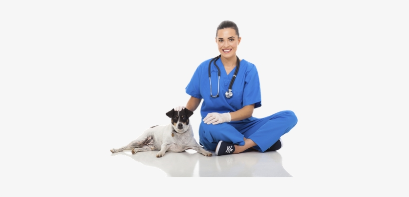Download Transparent Woman Vet With Dog - Veterinarian Transparent ...