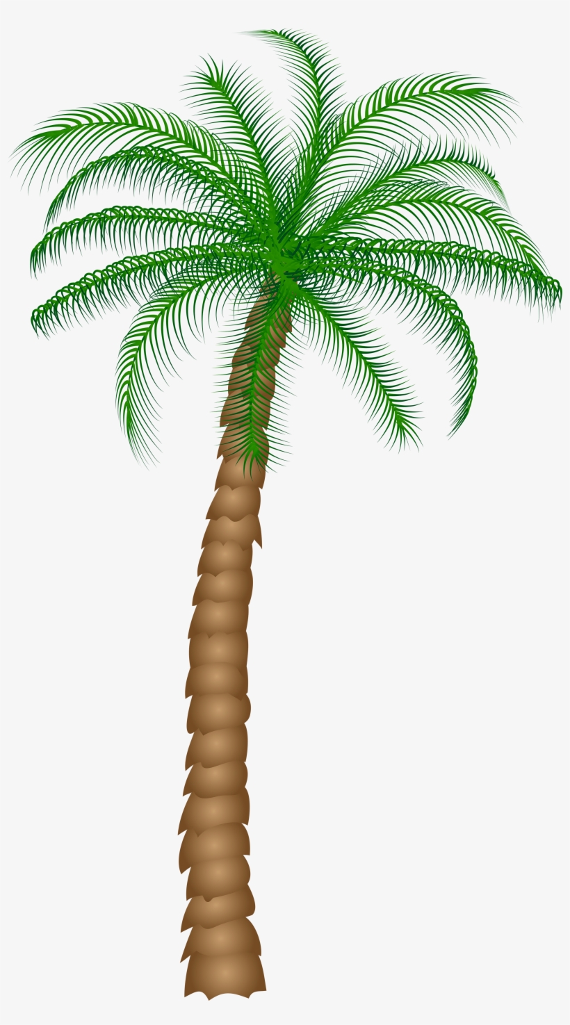 Date Tree Png Clipart