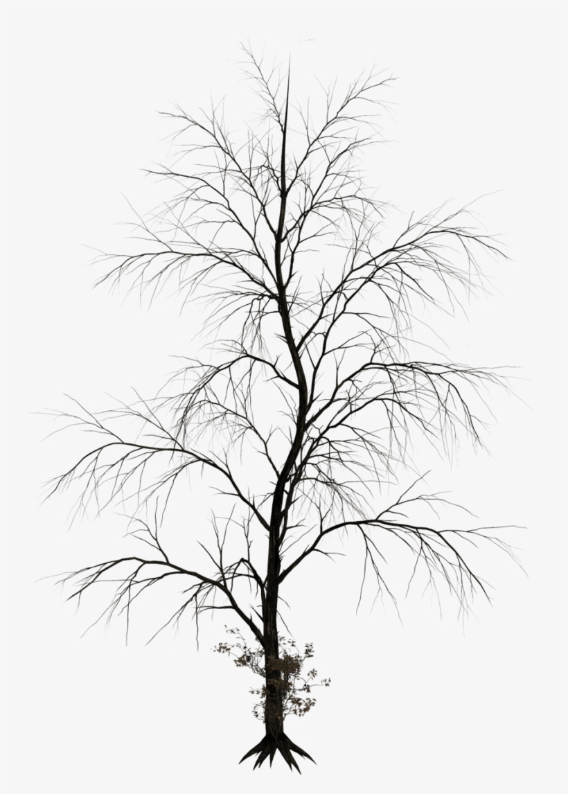 Haunted Tree - Png Trees Black Photoshop - 1024x1335 PNG Download - PNGkit