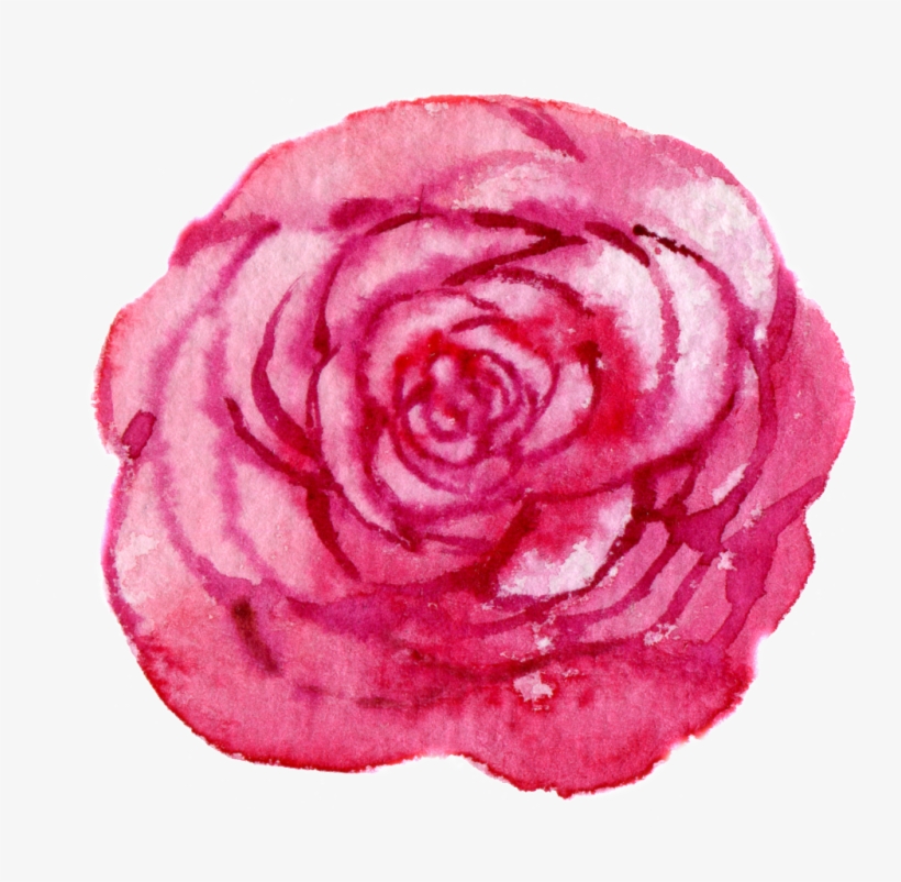 This Graphics Is Hand Drawn A Rose Flower Png Transparent - Portable ...