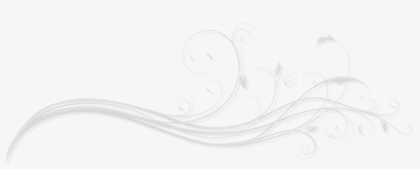 Fancy White Line Png