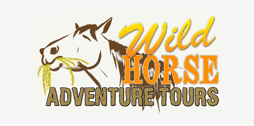 Wild Horse Logo - Horse - 613x328 PNG Download - PNGkit