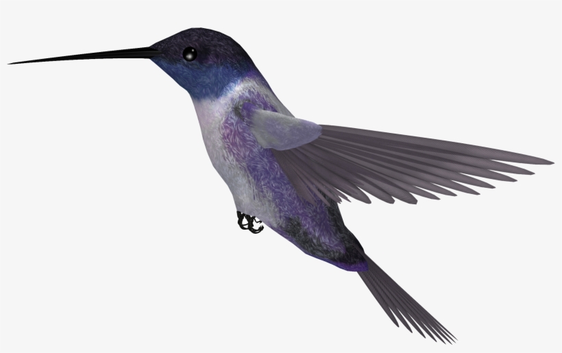 Hummingbird Png Picture - Bee Hummingbird Png - 2484x1696 PNG Download ...