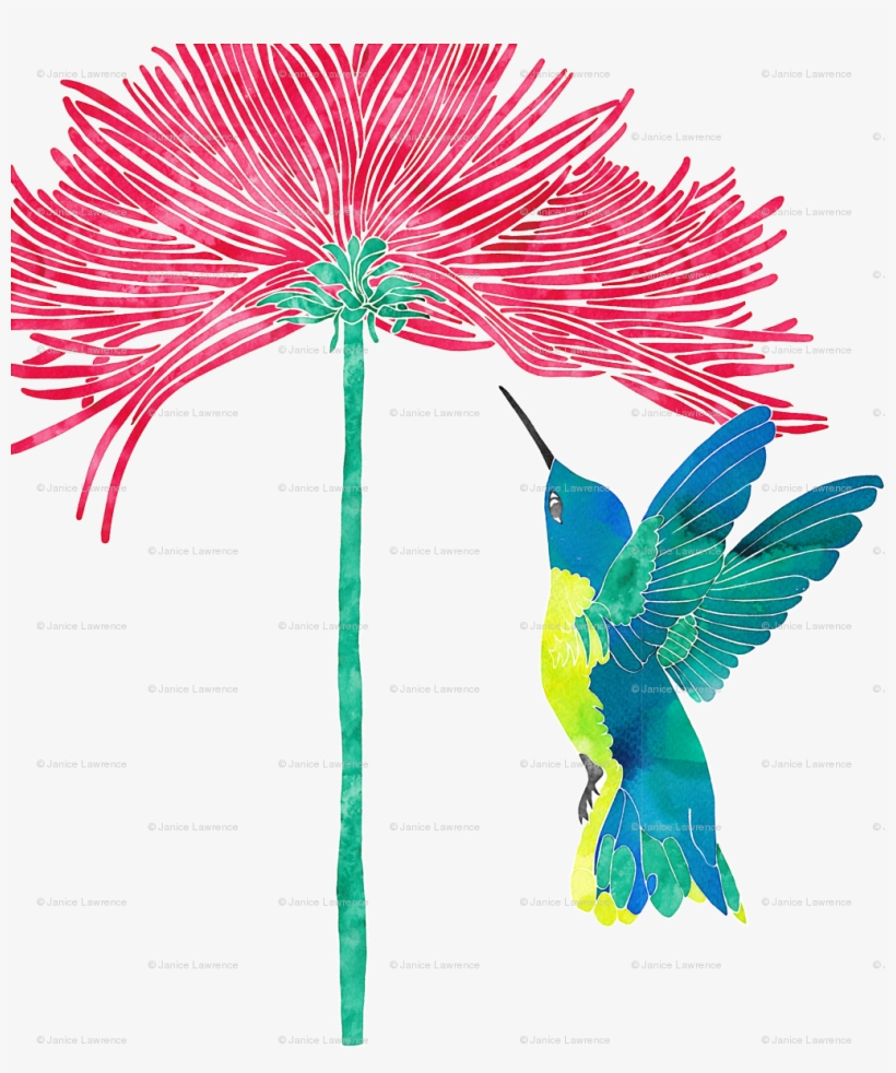 Hummingbird Png - 1013x1164 PNG Download - PNGkit