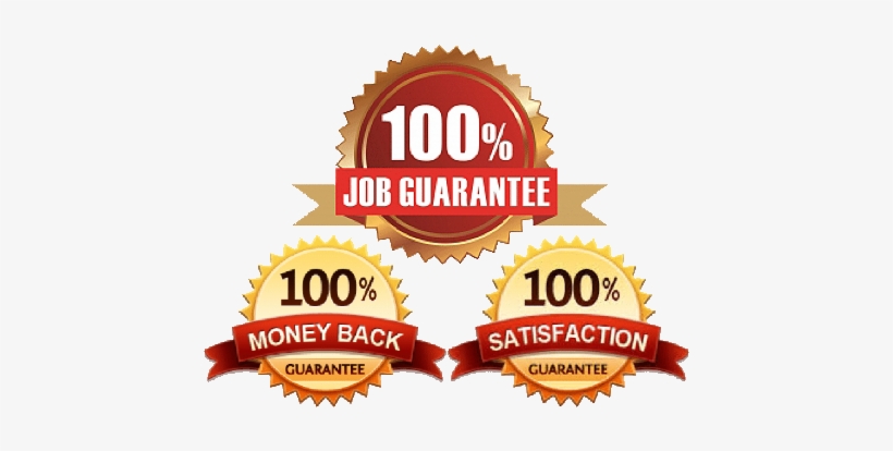 Download Transparent Job Search, Placement And Support - Money Back ...