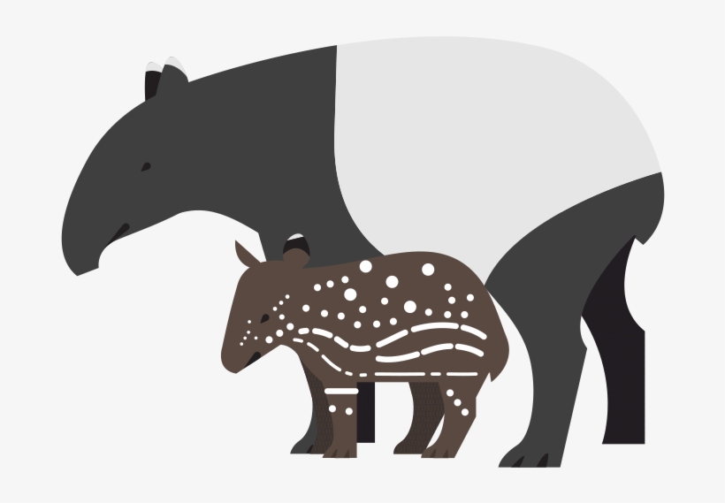 Tapir Clipart Denver Zoo Hippopotamus Clip Art - Tapir Transparent ...