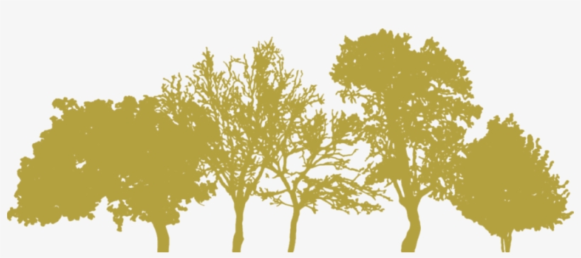 Ict Trees - 1000x396 PNG Download - PNGkit