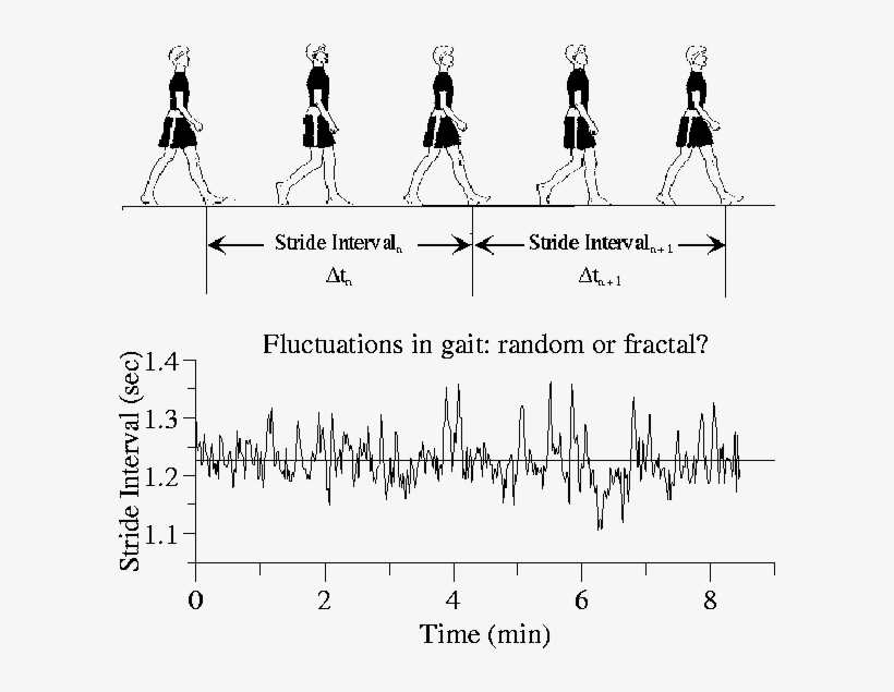Stride Interval - 602x555 PNG Download - PNGkit