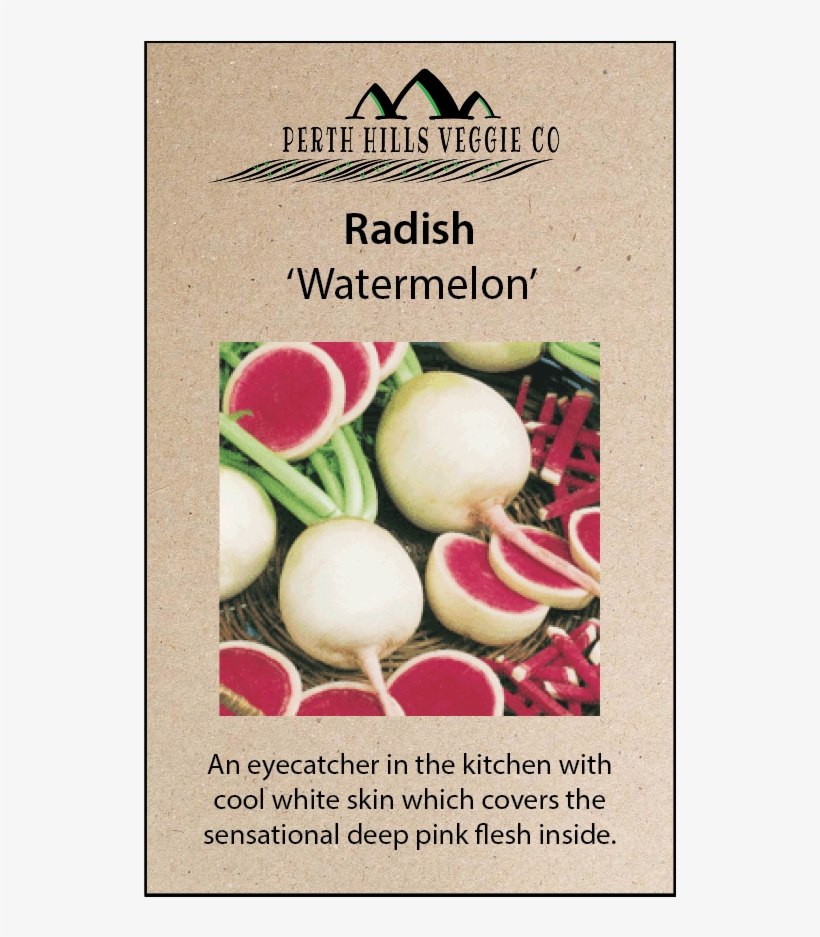 Radish 'watermelon' - Watermelon Red Radish 200 + Seeds Garden Fresh ...