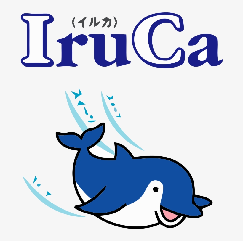 Dolphins Clipart File - Iruca - 703x768 PNG Download - PNGkit