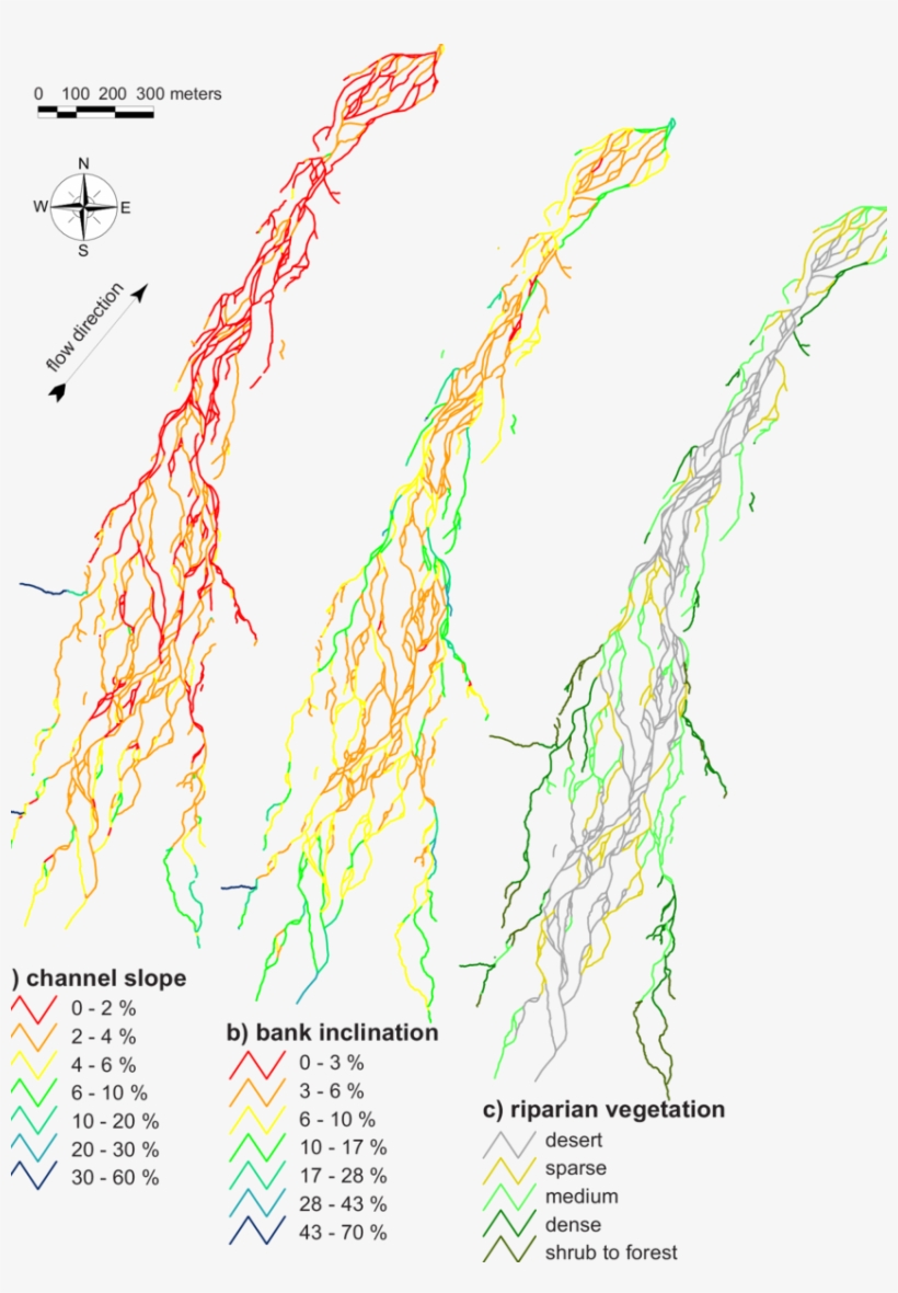 Visualization Of Selected Morphological Parameters - Diagram - 850x1182 ...