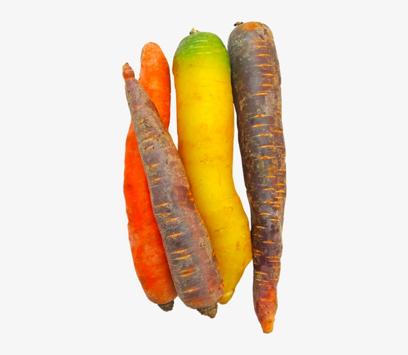 Carrots, Rainbow, Food, Vegetable, Colorful, Png - Rainbow Carrots ...