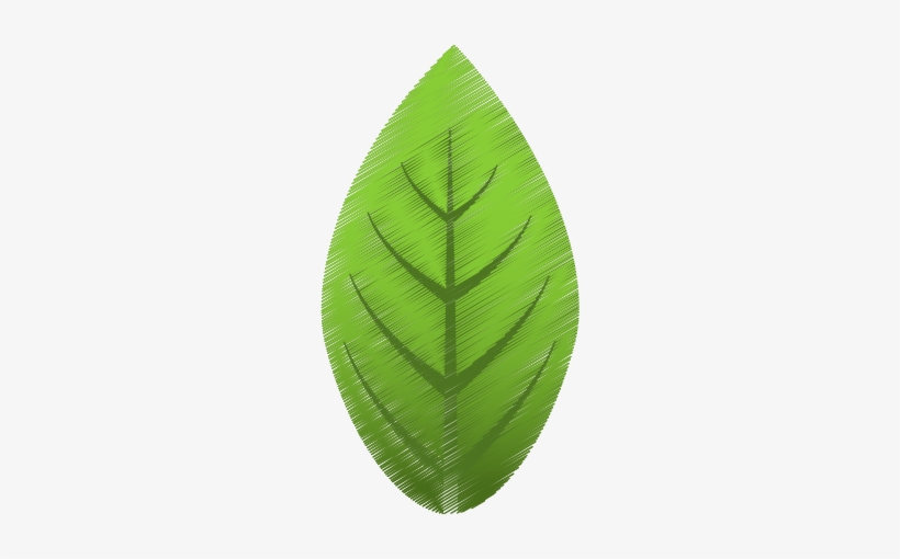 Download Transparent Drawing Green Leaves Natural - Drawing - PNGkit
