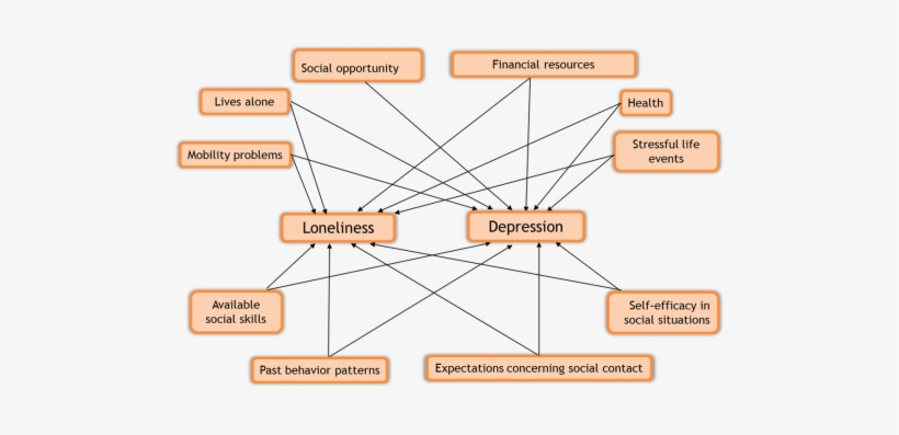 Download Transparent This Study Focused On Three Particular Factors ...
