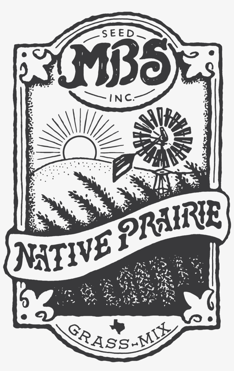 Native Prairie Grass Seed Mix - Lawn - 1404x2154 PNG Download - PNGkit