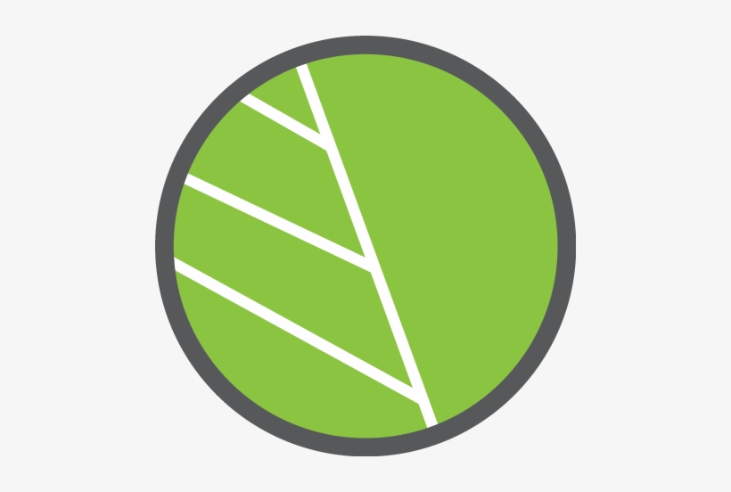 Leaf Circle Png - 472x472 PNG Download - PNGkit
