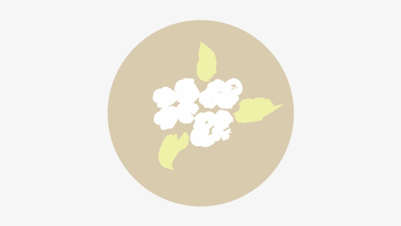 New Day Elements - Illustration - 456x456 PNG Download - PNGkit