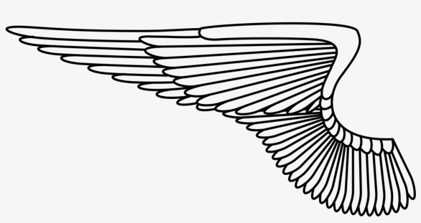 Vector Graphics - Air Force Wings Png - 500x250 PNG Download - PNGkit
