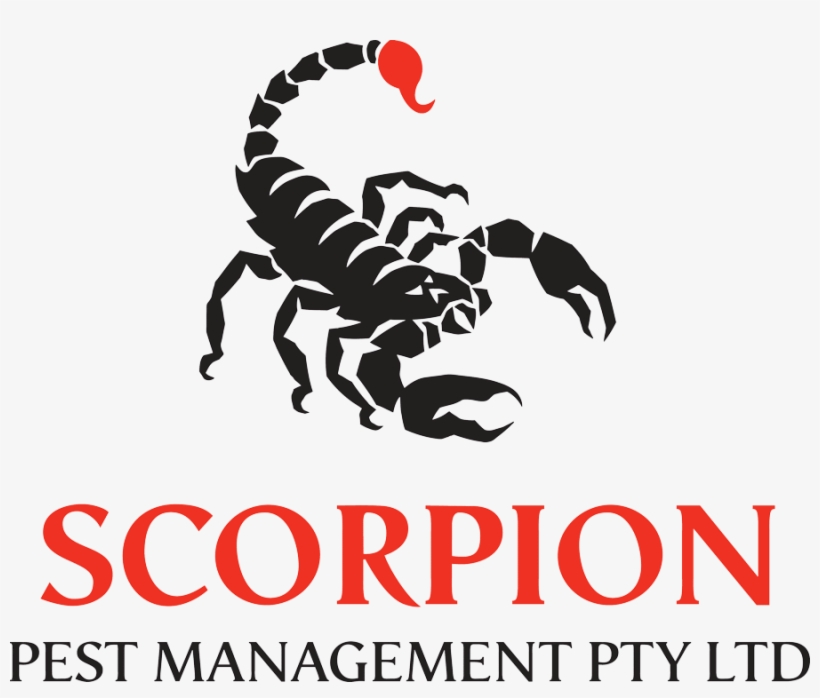 Image - Scorpion Pest Management - 900x723 PNG Download - PNGkit