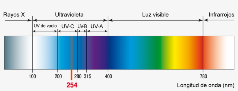 Infrarrojos - - Longitud De Onda Radiacion Ultravioleta - 1100x370 PNG ...