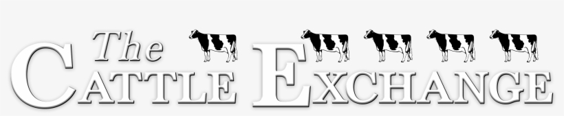 The Cattle Exchange - Dairy Cow - 3177x674 PNG Download - PNGkit