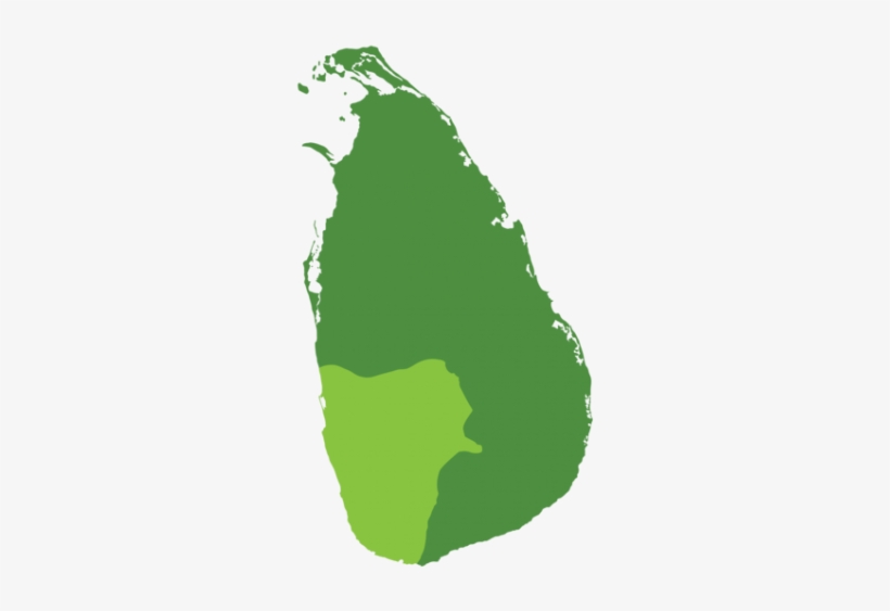 Map - Emblem Of Sri Lanka - 330x500 PNG Download - PNGkit