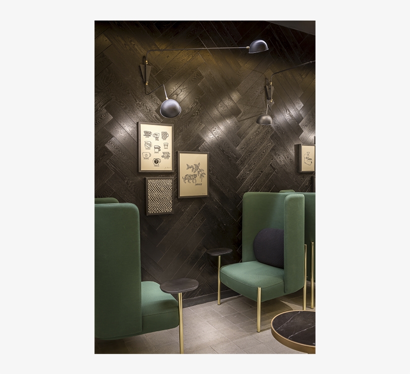 Ara - Reference - 1000x667 PNG Download - PNGkit