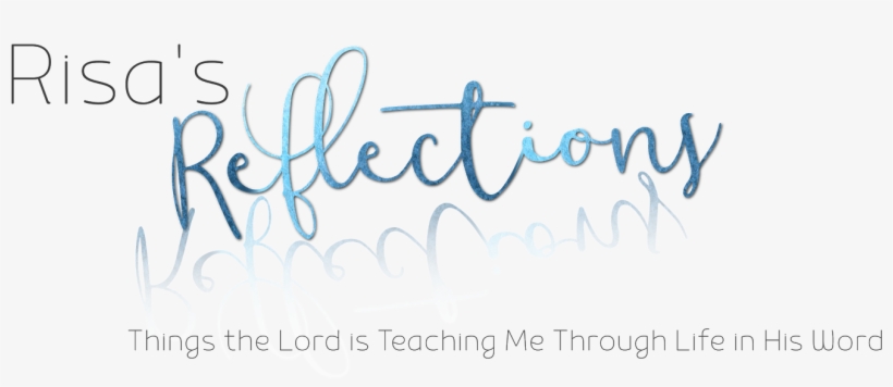 Risa's Reflections - Calligraphy - 1600x537 PNG Download - PNGkit