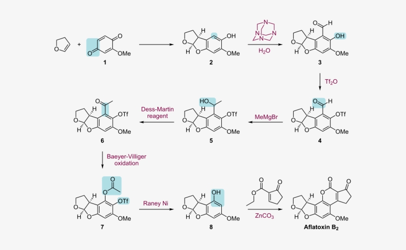 Aflatoxin Total Synthesis - Synthesis Of Aflatoxin B1 - 600x425 PNG ...