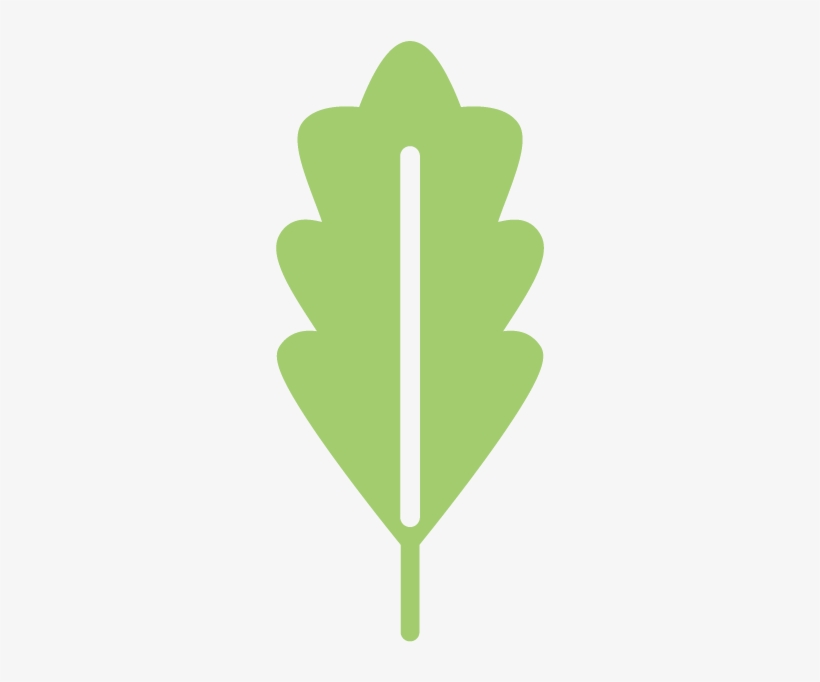 Favicon - 432x618 PNG Download - PNGkit