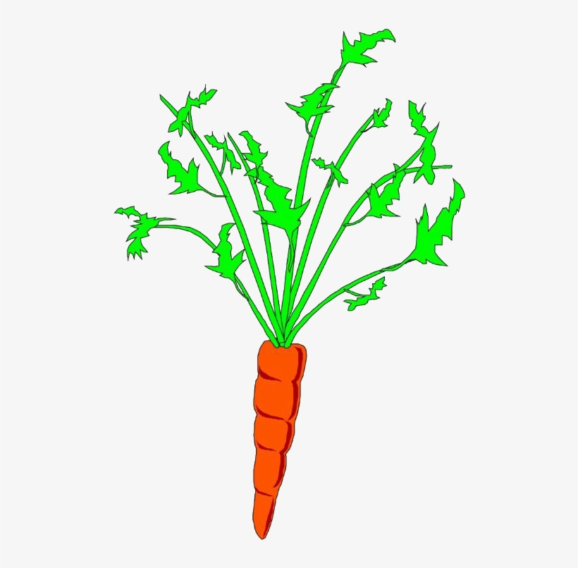 Carrot Bunch Clip Art