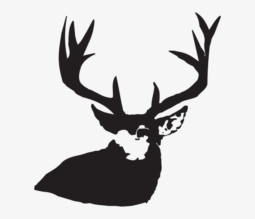 Decal - 600x625 PNG Download - PNGkit