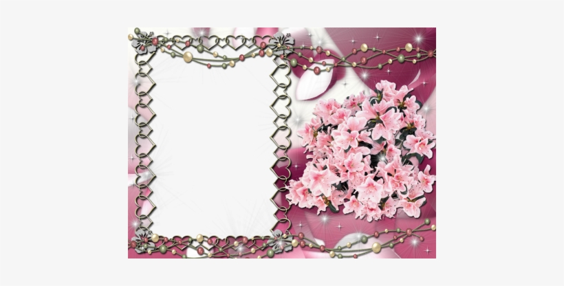 Elegant Png Photo Frames Free Download Adobe Photoshop - Flower Frame ...