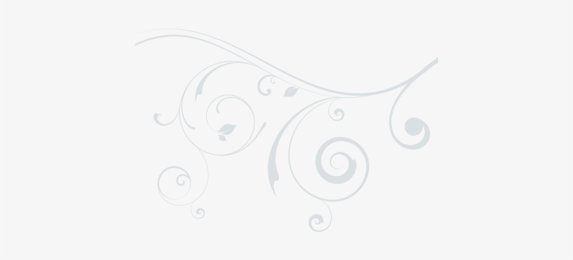 Vector Curls - Png Curls White Vector - 434x307 PNG Download - PNGkit